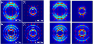 027 – COMSOL案例：石墨烯超表面THz吸收器（带演示视频）-光学仿真资料小站
