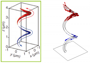 064 – COMSOL超材料专题教程④圆二色性（带讲解视频）-光学仿真资料小站
